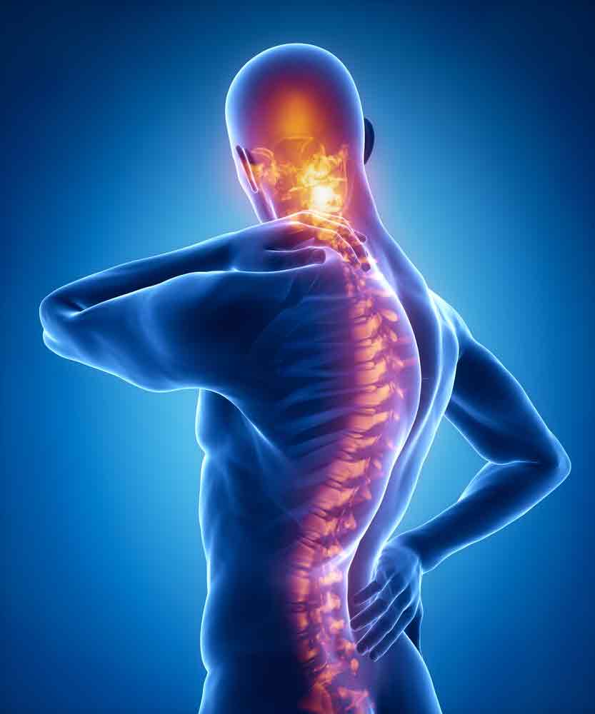 Facet joint release technique: Complete guide - Alliance Physical ...